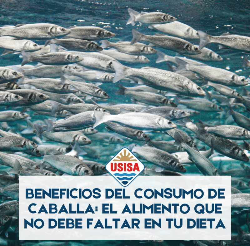 Beneficios del consumo de caballa: el alimento que no debe faltar en tu ...