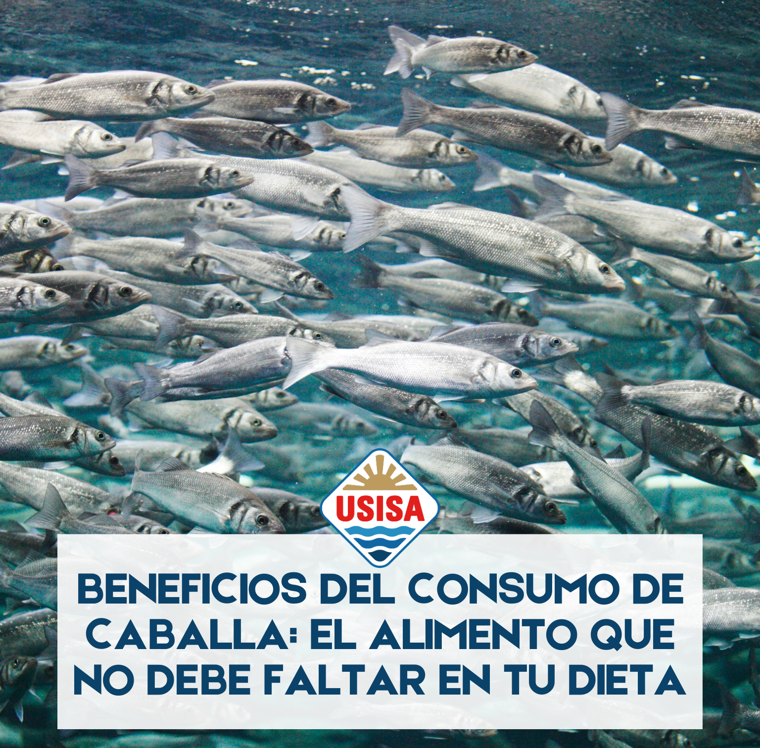 Beneficios del consumo de caballa: el alimento que no debe faltar en tu ...